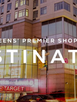 The Shops at Skyview Shopping Center In Flushing, NY